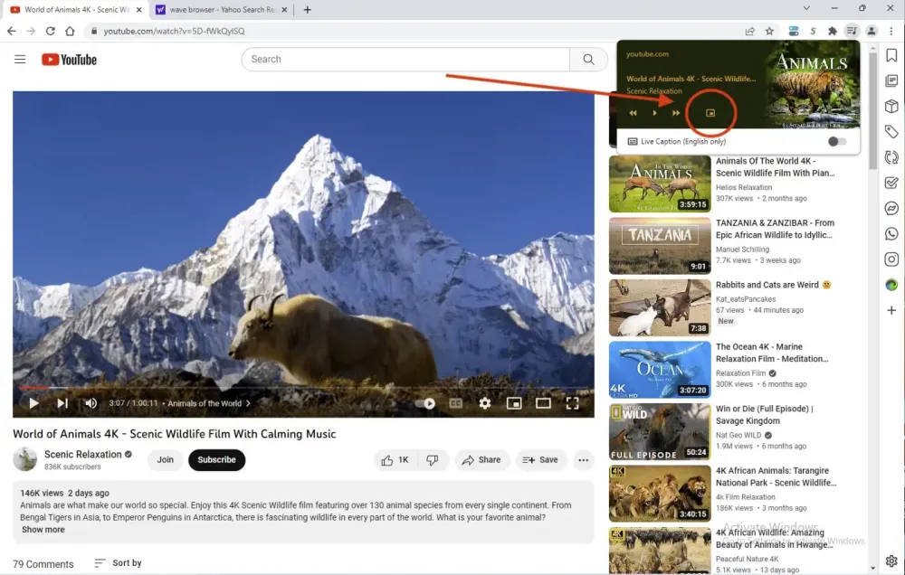 Wave Browser - Efficient, Intuitive and Personal Web Browser